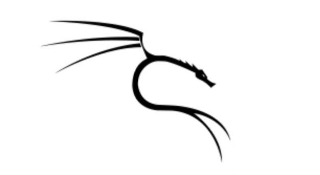 Kali Linux 2024.2 がリリース：18 種類のツールの追加と Y2038 対応 – IoT OT Security News